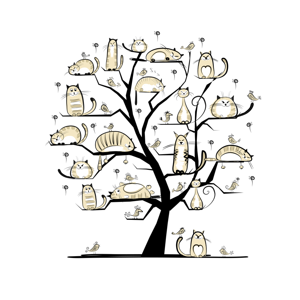 Cat Family Tree Organized For Life